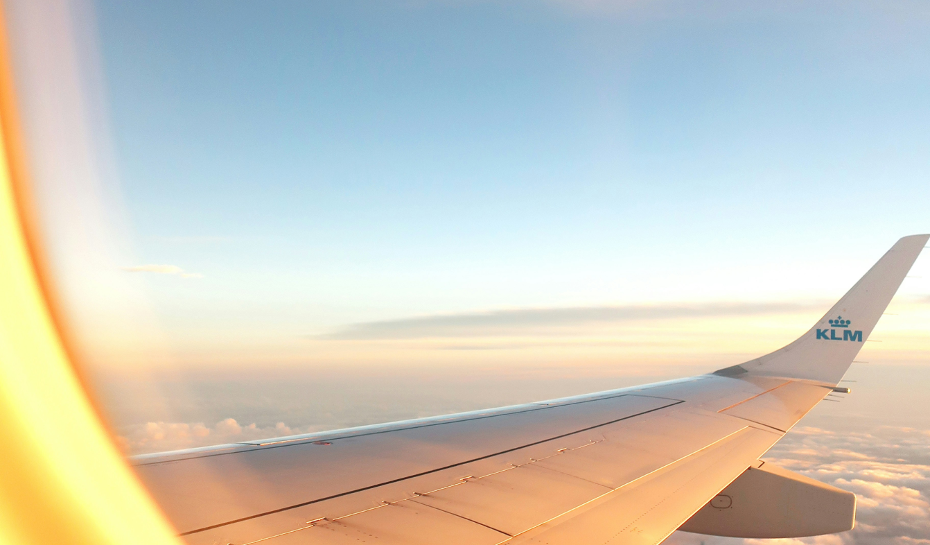 Aviation Parts Supplier SkyGeek Grows Revenue - Go Fish Digital